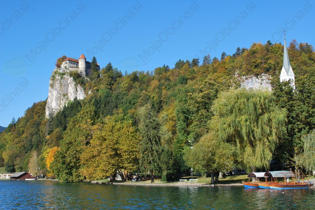 Danes velika vaja Potres Bled 2015 | Občina Bled | MojaObčina.si