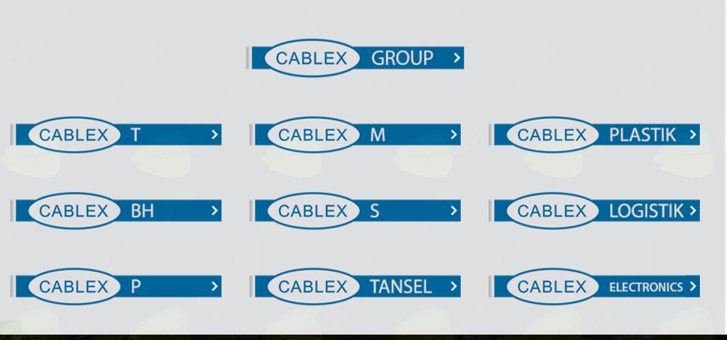 CABLEX-T, PODJETJE ZA PROIZVODNJO, TRŽENJE IN SERVISIRANJE ELEKTROTEHNIČNIH IZDELKOV, D.O.O ...